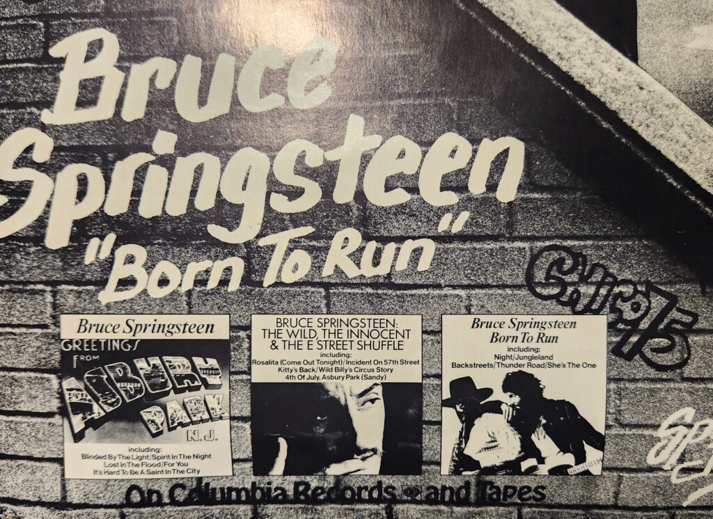 Original 1975 Bruce Springsteen Born To Run 3D Promotional Poster ...