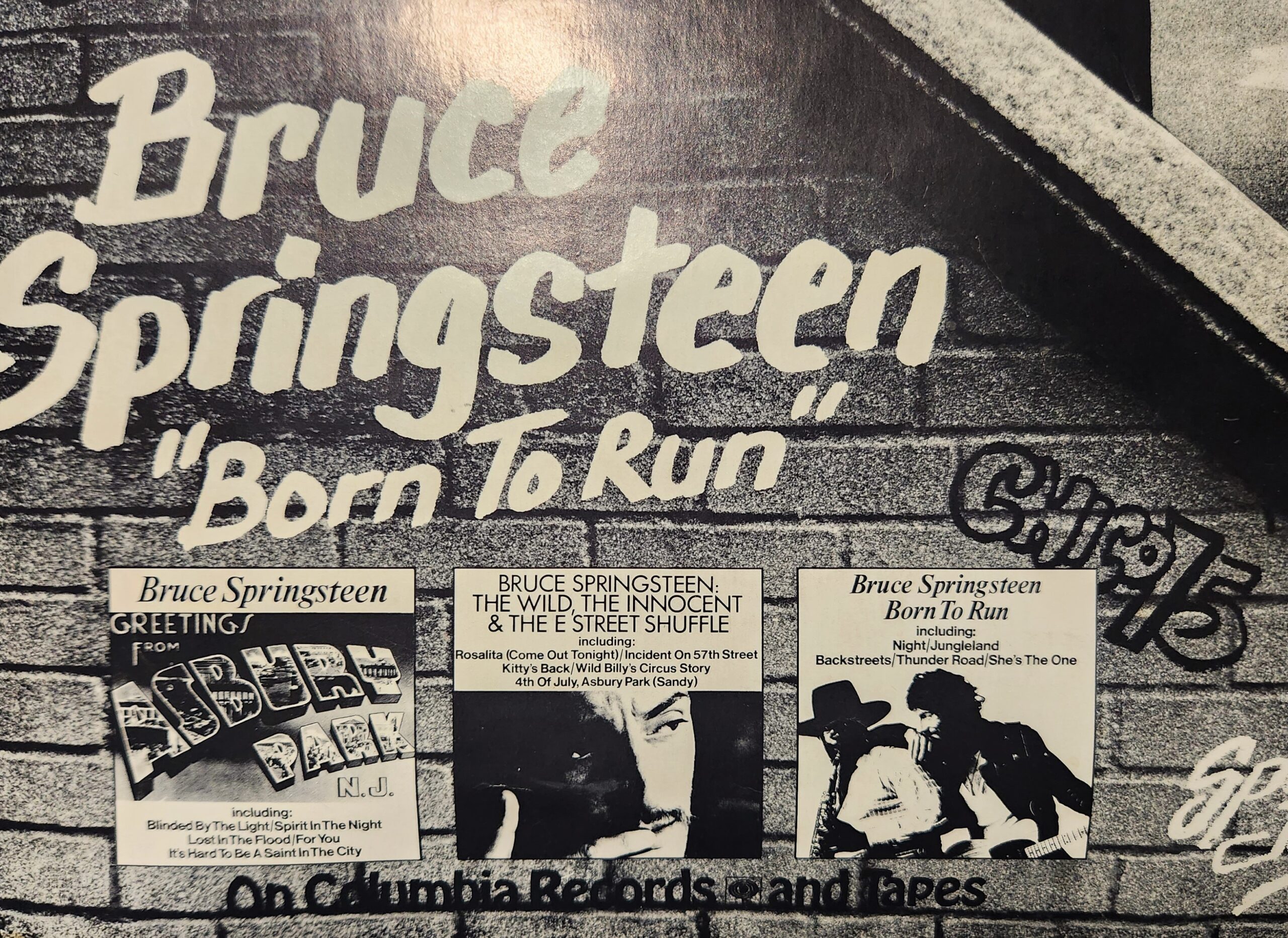 Original 1975 Bruce Springsteen Born To Run 3D Promotional Poster ...